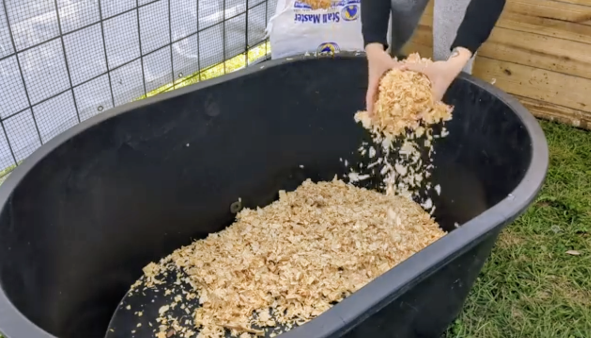 How to Set Up a Chick Brooder - Reformed Acres