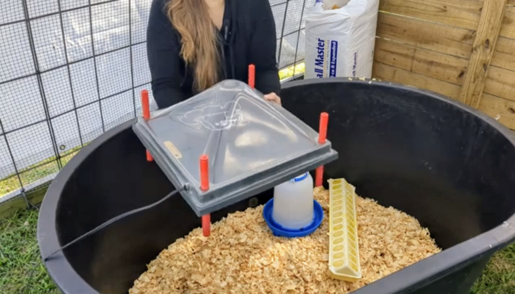 How to Set Up a Chick Brooder - Reformed Acres