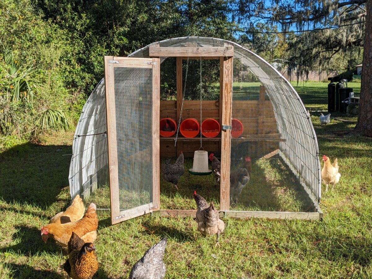 Meat Rabbit Processing Set Up, Equipment, and Tools - Reformed Acres