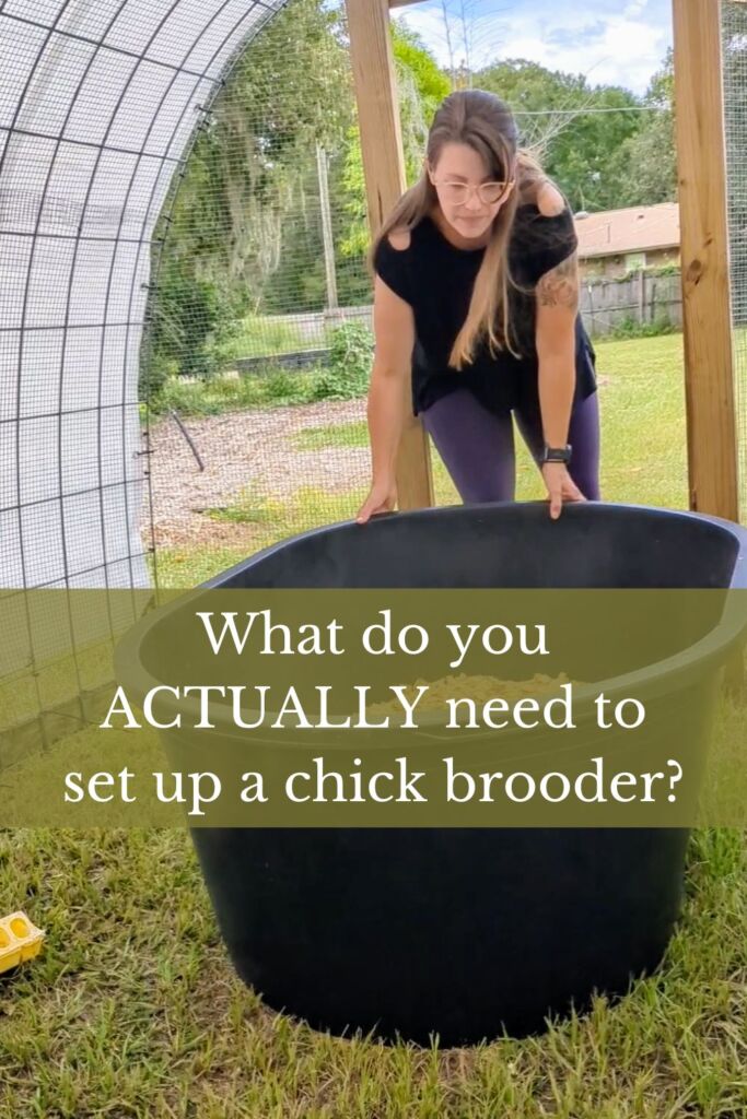 How to Set Up a Chick Brooder - Reformed Acres