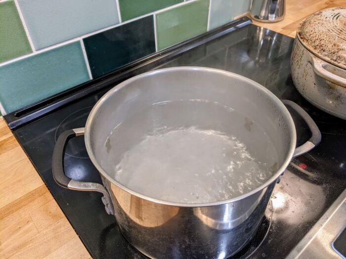 How to Get Rid of Ants in the Garden - Reformed Acres