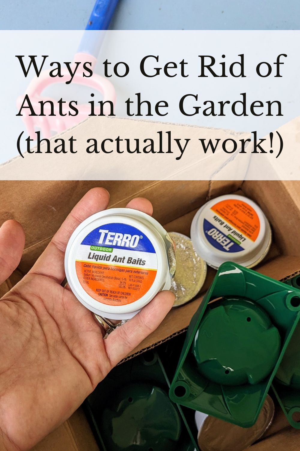 How to Get Rid of Ants in the Garden - Reformed Acres