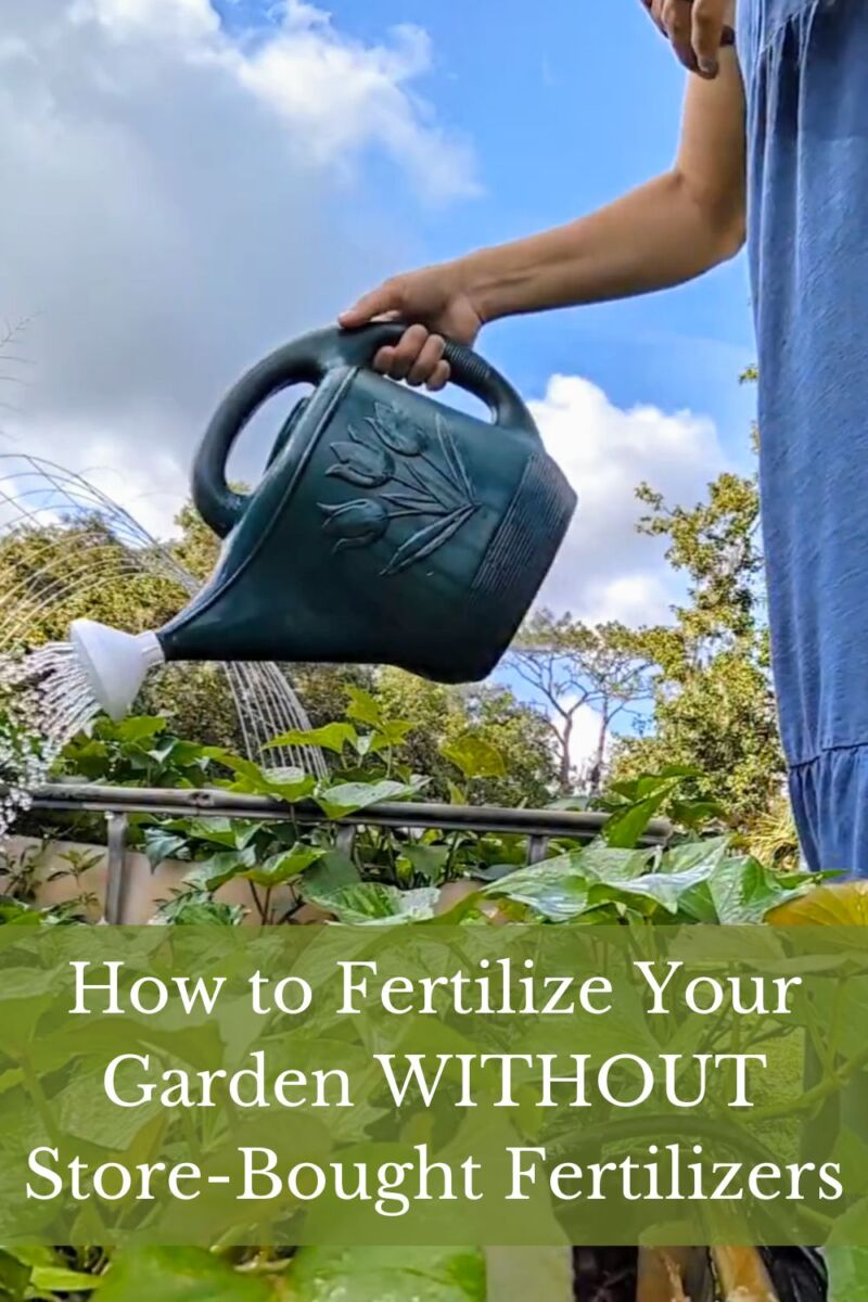How to Fertilize Your Garden Without Store-Bought Fertilizers ...