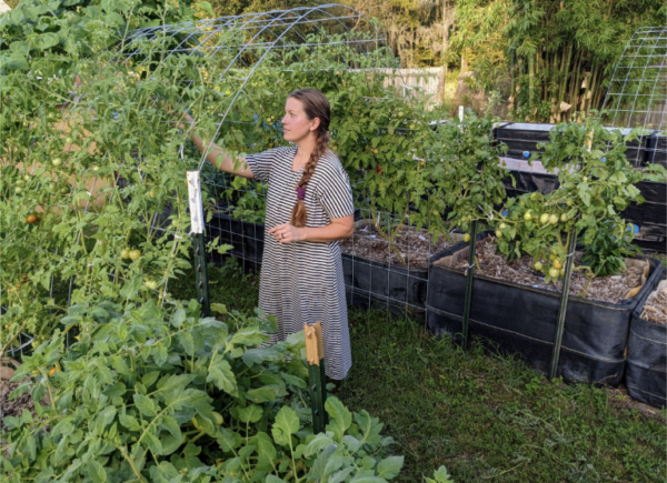 Meat Rabbit Processing Set Up, Equipment, and Tools - Reformed Acres