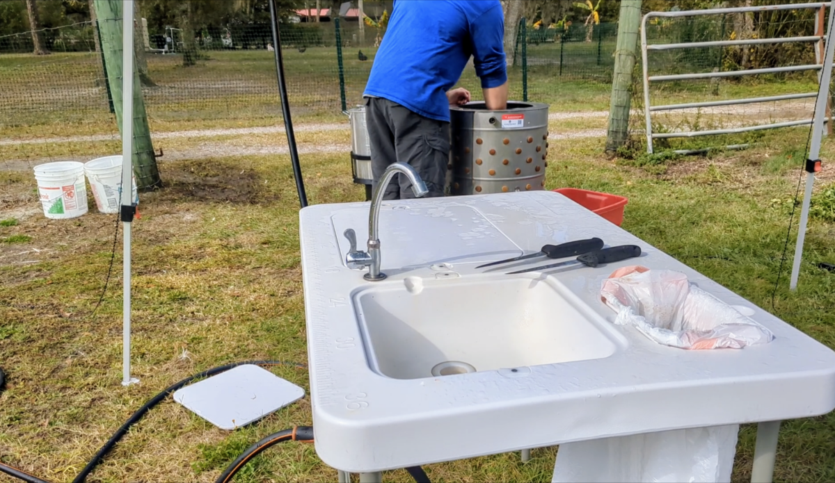 Meat Chicken Processing Set Up, Equipment, and Tools - Reformed Acres