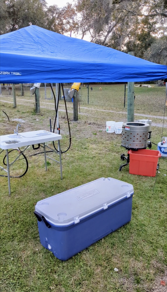Meat Chicken Processing Set Up, Equipment, and Tools - Reformed Acres