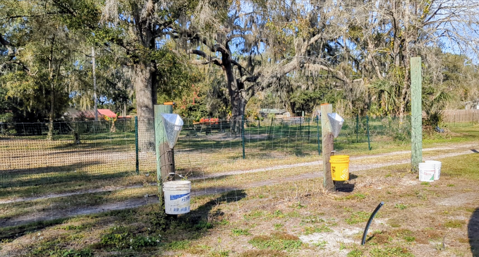 Meat Chicken Processing Set Up, Equipment, and Tools - Reformed Acres