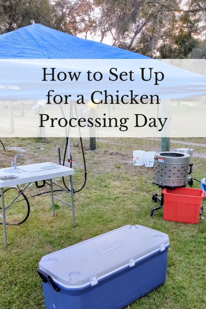 Meat Chicken Processing Set Up, Equipment, and Tools - Reformed Acres