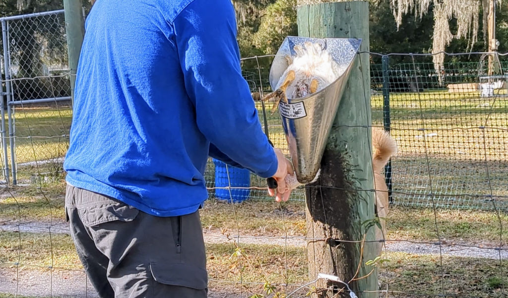 How to Quickly Dispatch a Chicken - Reformed Acres