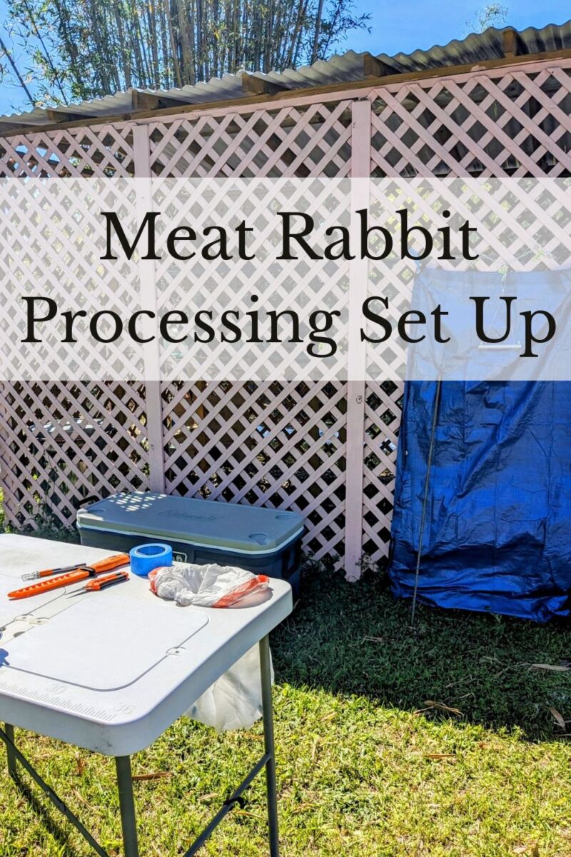 Meat Rabbit Processing Set Up, Equipment, and Tools - Reformed Acres