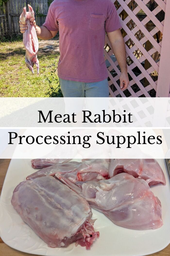 Meat Rabbit Processing Set Up, Equipment, and Tools - Reformed Acres