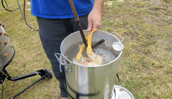 How to Remove the Feathers From a Chicken (Using a Scalder and Plucker ...