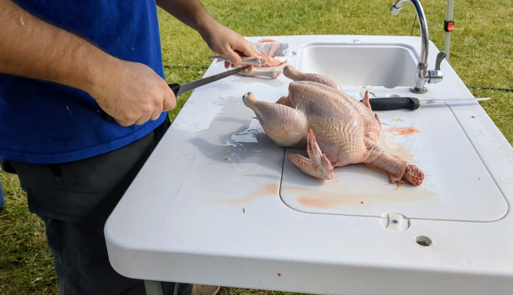 How to Butcher and Gut a Chicken - Reformed Acres