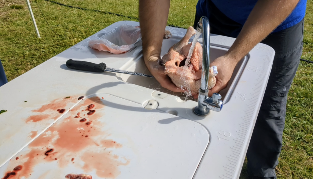 How to Butcher and Gut a Chicken - Reformed Acres
