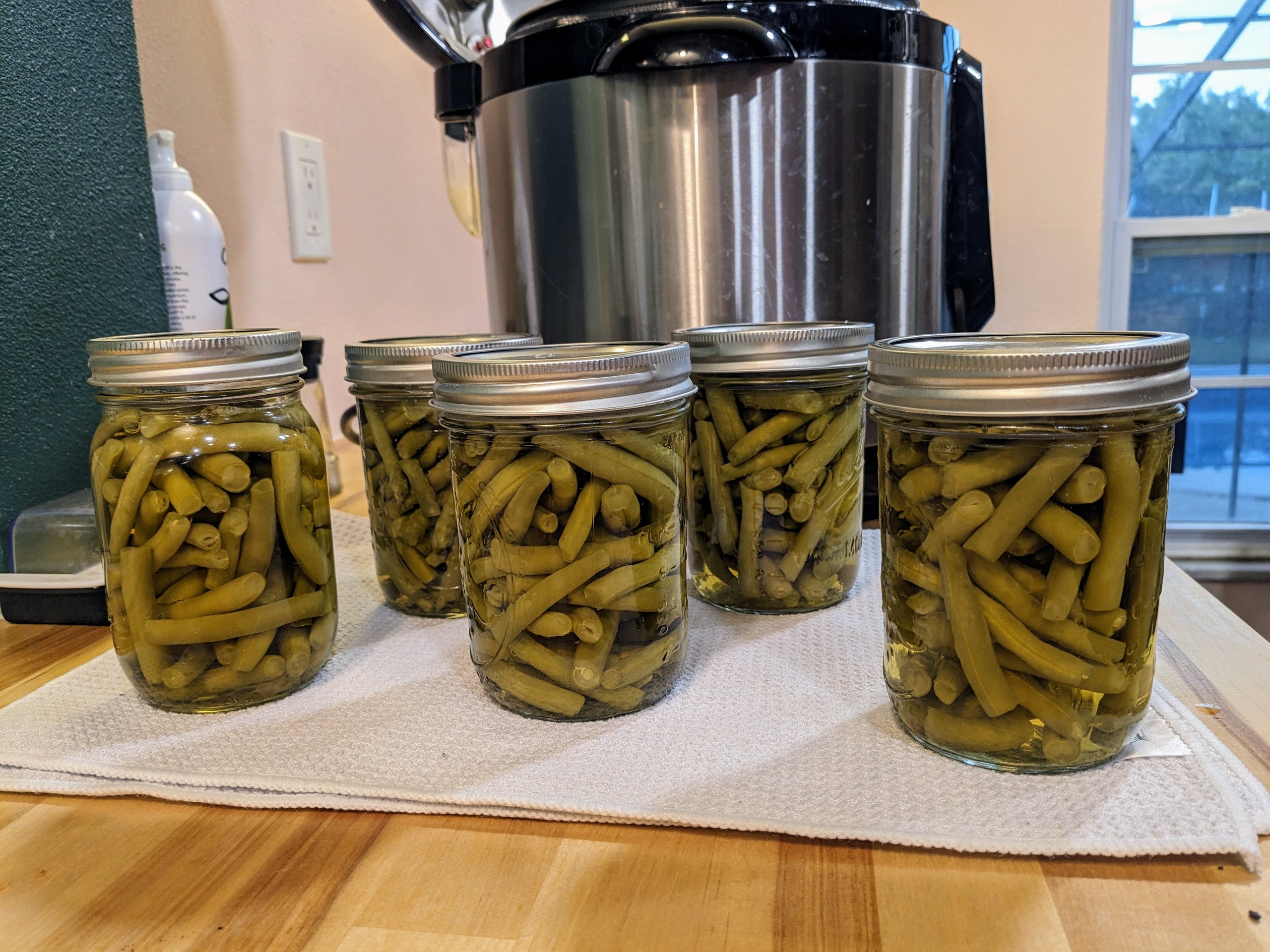 Pressure Canning Green Beans - Reformed Acres