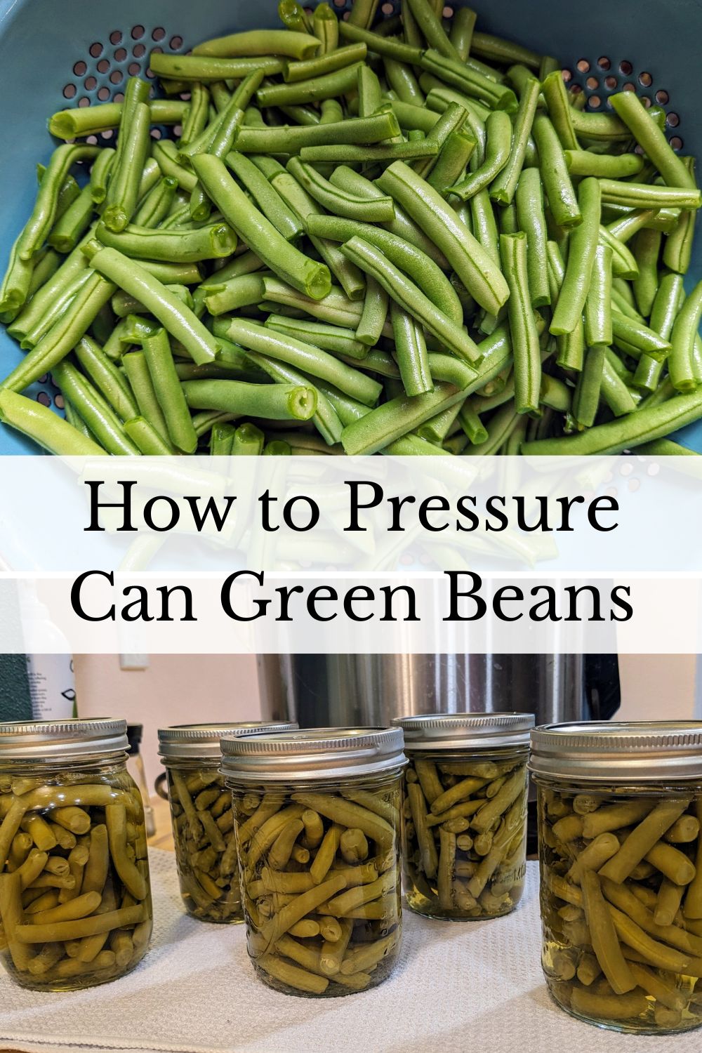 Pressure Canning Green Beans - Reformed Acres