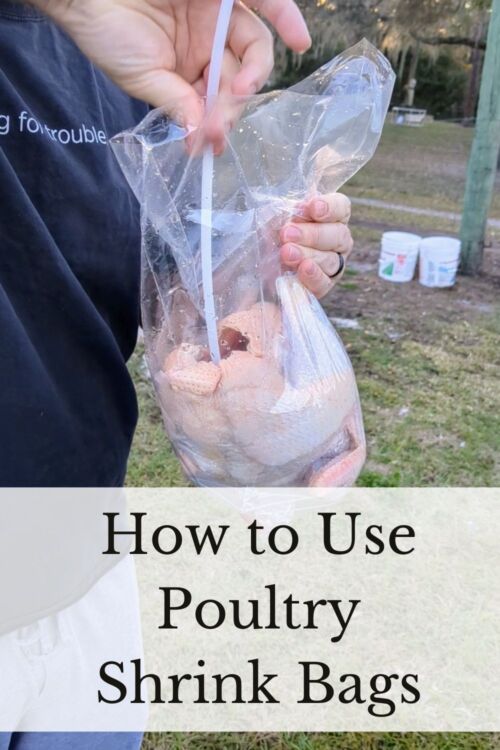 How to Use Poultry Shrink Bags for Freezing Meat Chickens - Reformed Acres