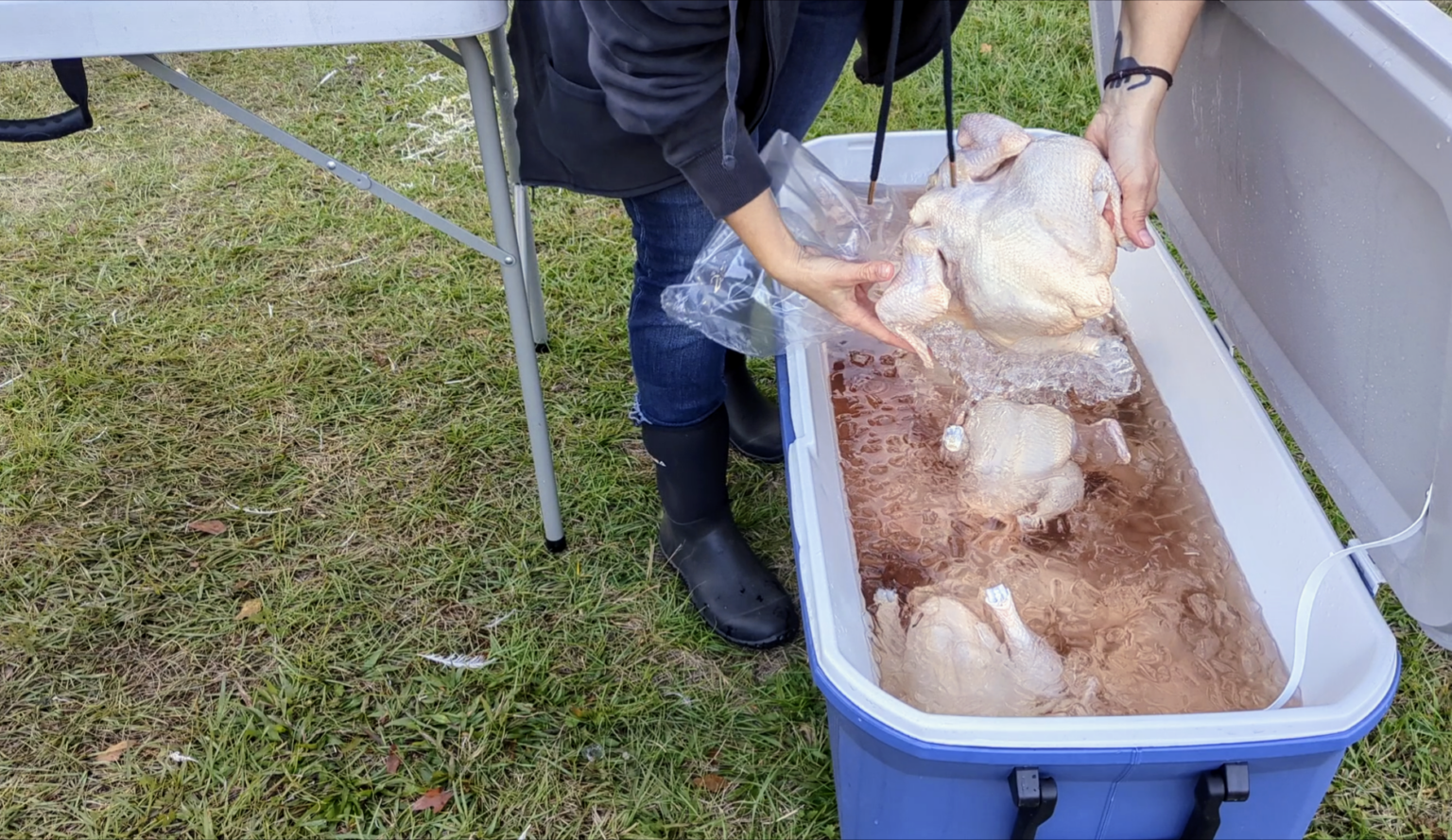How to Use Poultry Shrink Bags for Freezing Meat Chickens - Reformed Acres