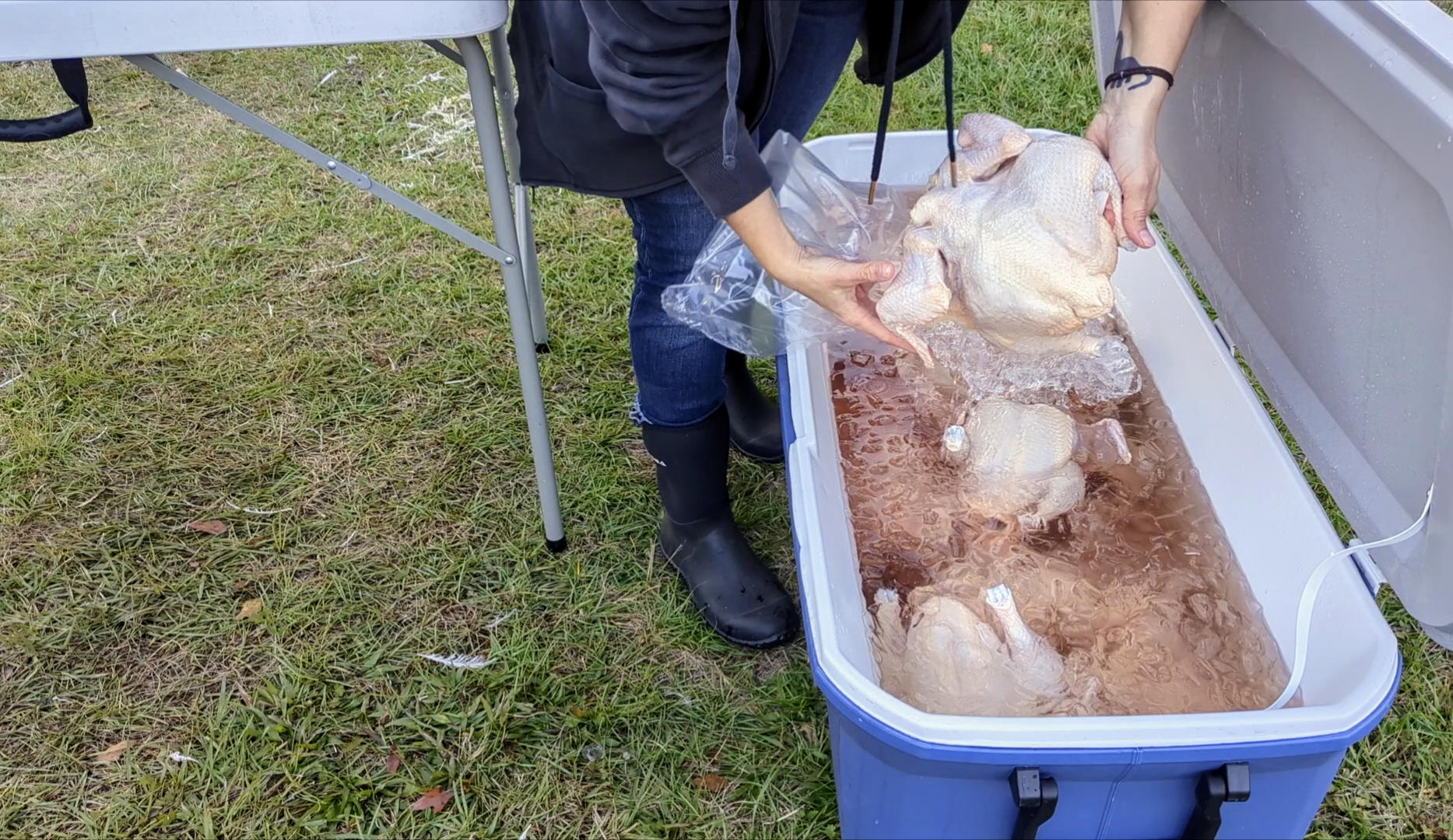 How to Use Poultry Shrink Bags for Freezing Meat Chickens - Reformed Acres